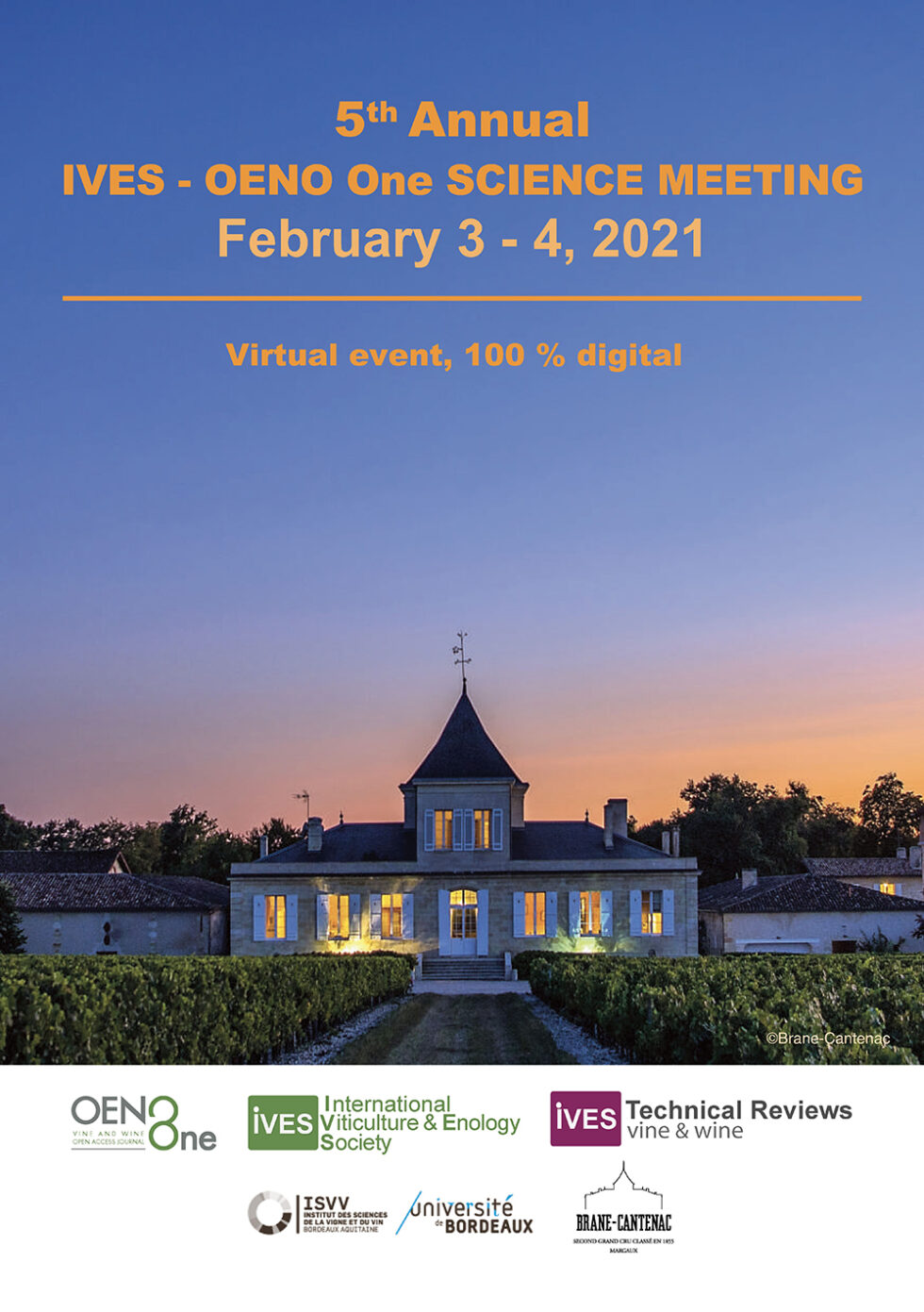 IVES annual meeting • IVES